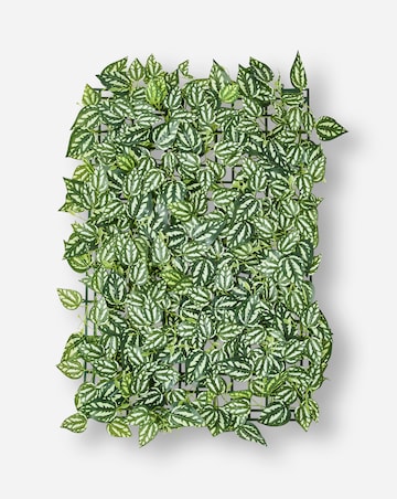 Luscious Leaf Screening Panel 60 x 40cm | JD Williams