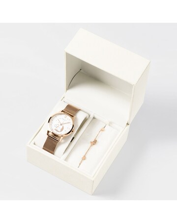 Radley Rose Gold Stainless Steel Mesh Dog & Moon Design Watch and ...
