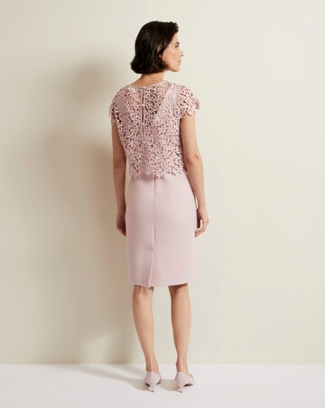 Phase Eight Daisy Lace Double Layer Dress | JD Williams